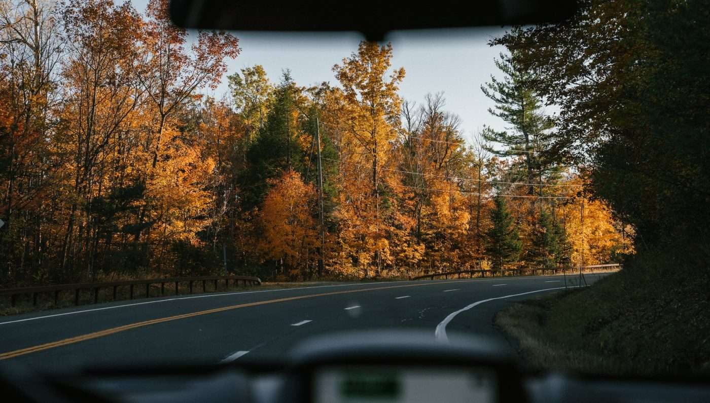 What To Do If You Feel Dizzy While Driving? Quick Safety Tips