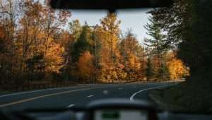 What To Do If You Feel Dizzy While Driving? Quick Safety Tips