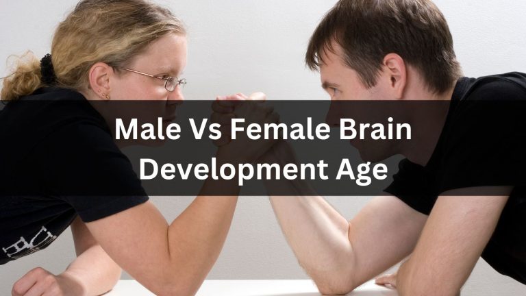 Male Vs Female Brain Development Age: A Definitive Guide